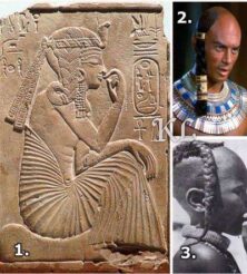 Devoir de Mémoire - Confusion et récupération des Blancs/Occidentaux ...